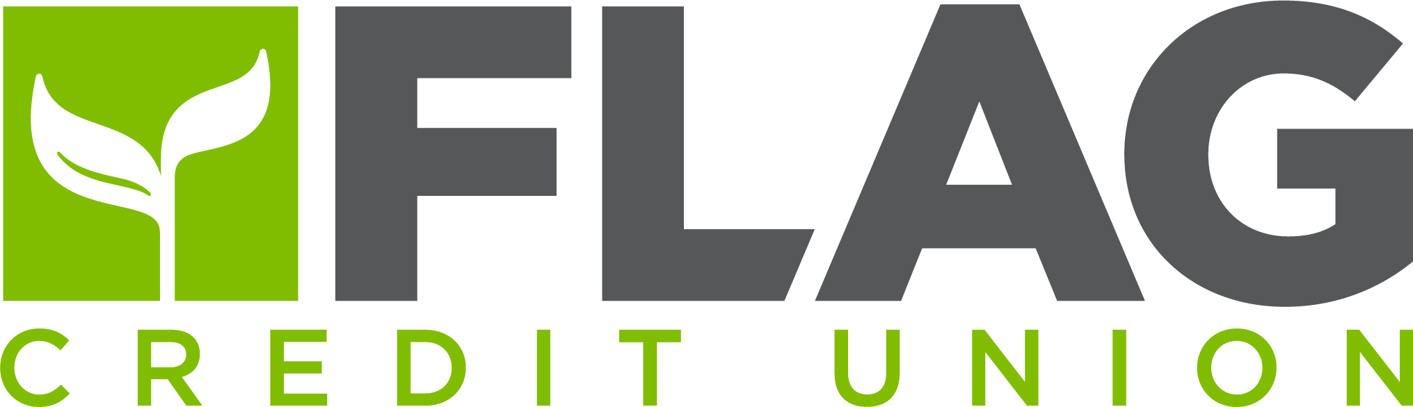 CEO Spotlight – Mike Akers, FLAG Credit Union - Greater Tallahassee ...